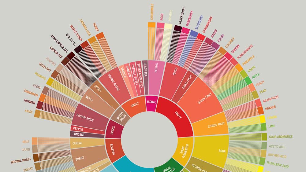 Specialty Espresso Blend Coffee Beans | Dairy Beanz NZ – Dairy Beanz ...